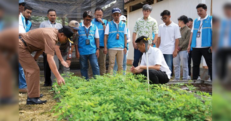 Gandeng Keraton Yogyakarta, PLN EPI Ubah Lahan Kritis Jadi ‘Tambang ...